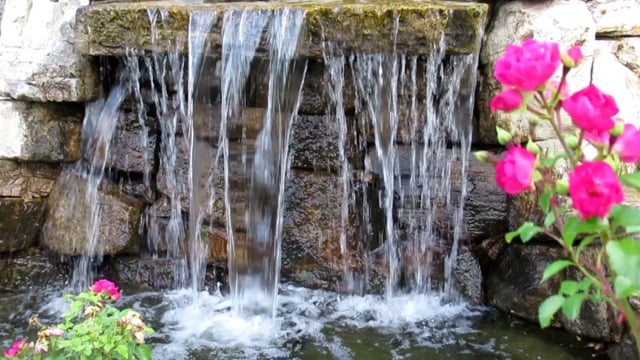 Waterfall, Rose, Water. Free Stock Video - Pixabay