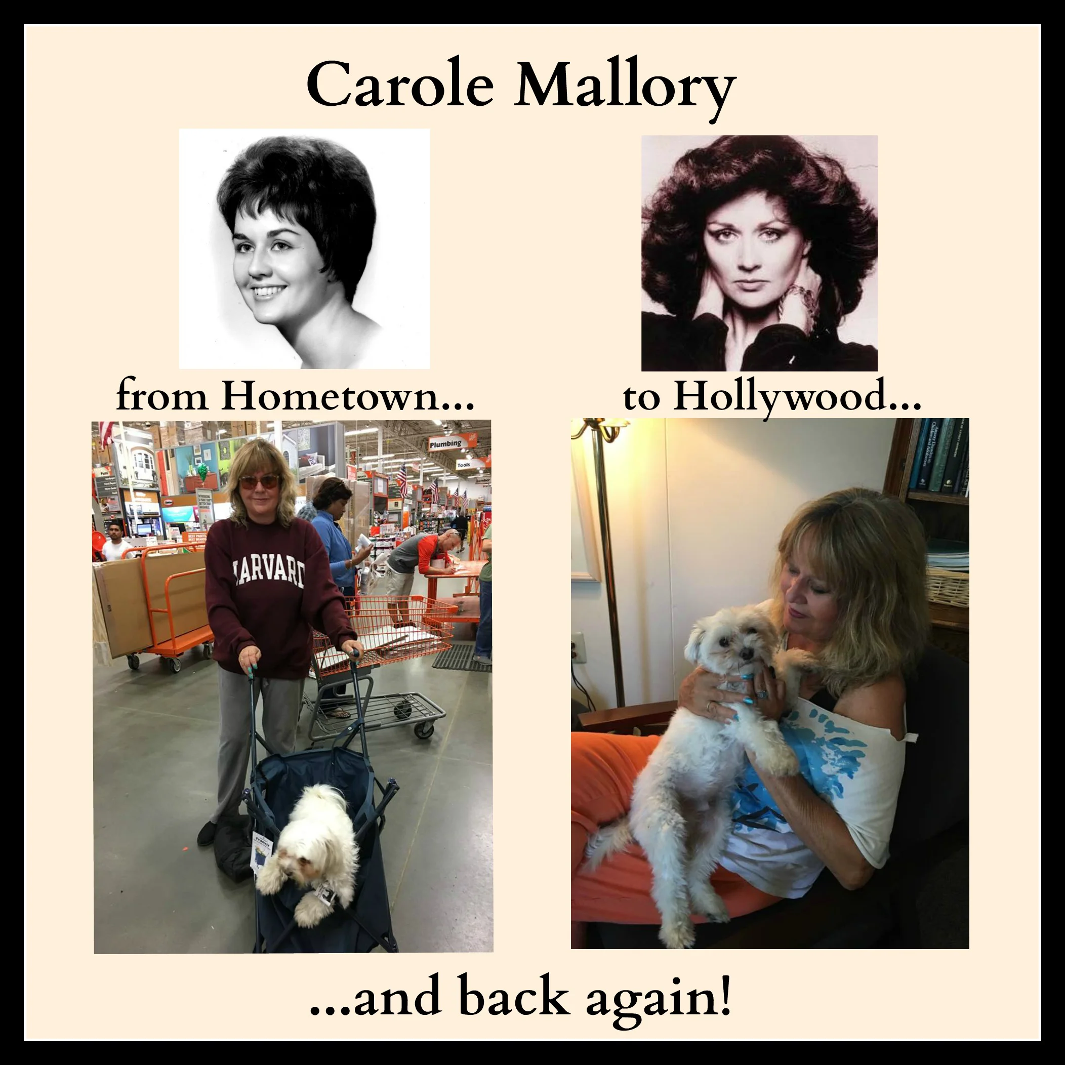 Carole Mallory--From Hometown to Hollywood and Back Again