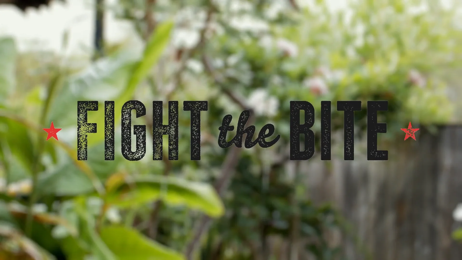 Fight The Bite on Vimeo