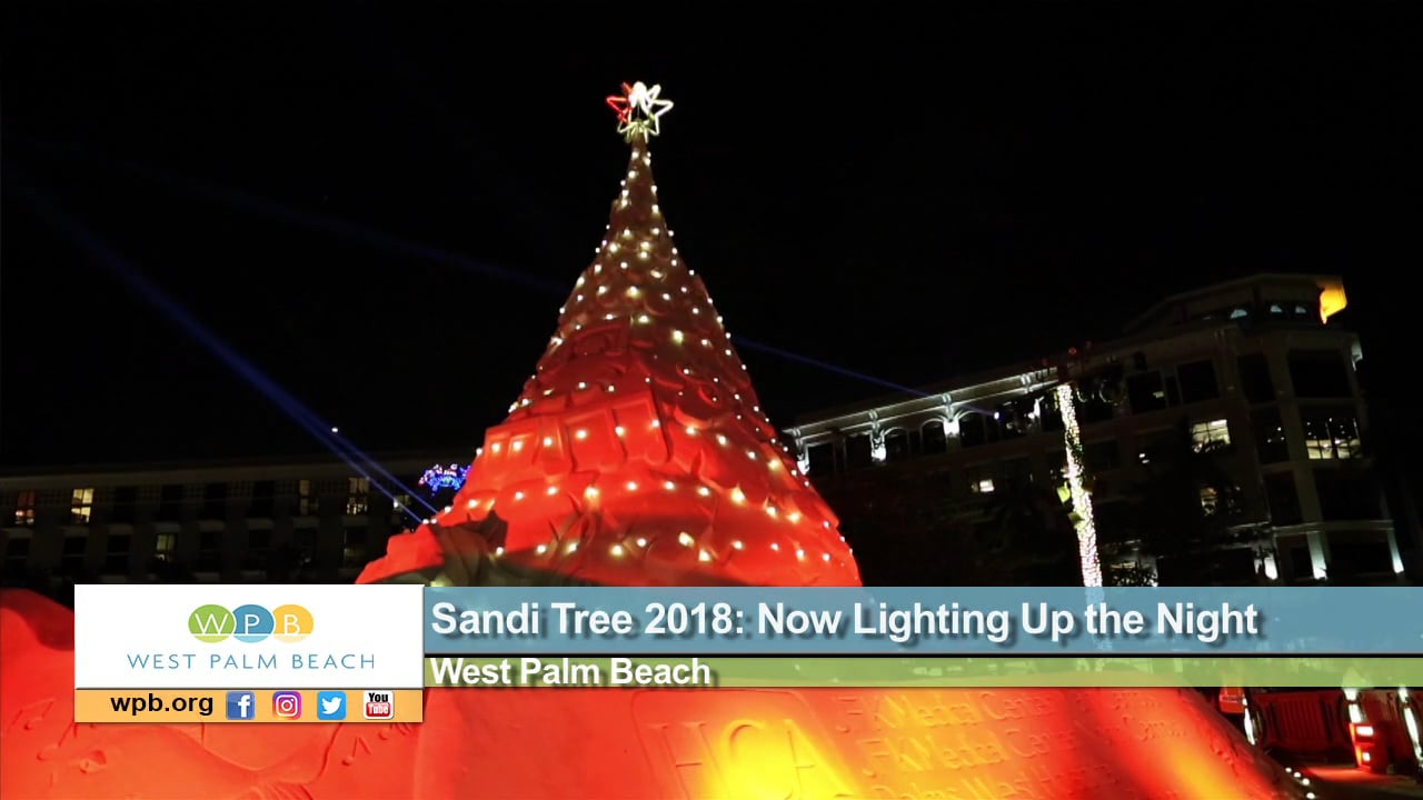 Sandi Tree 2018: Now Lighting Up the Night on Vimeo