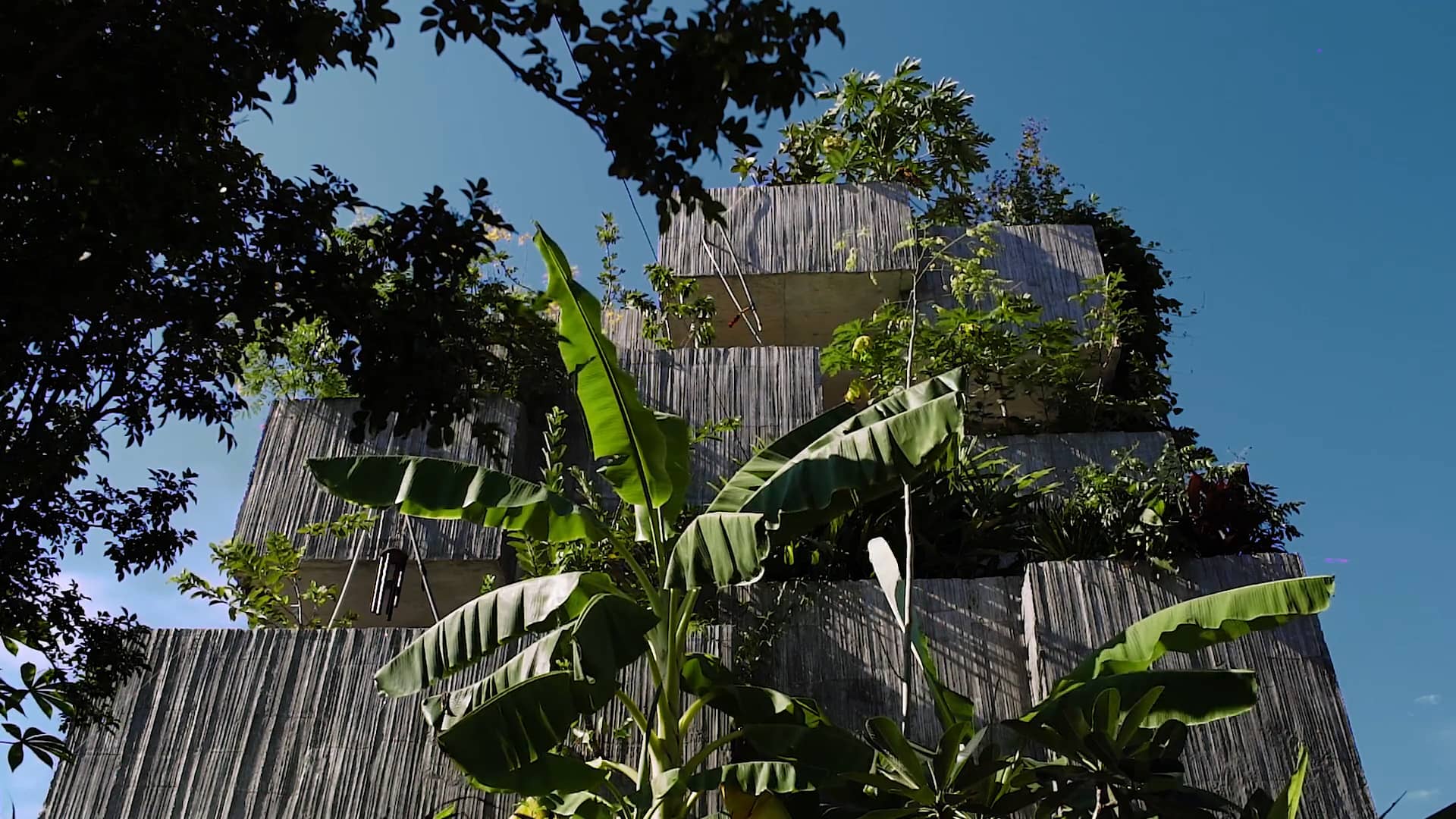 Planter Box House on Vimeo