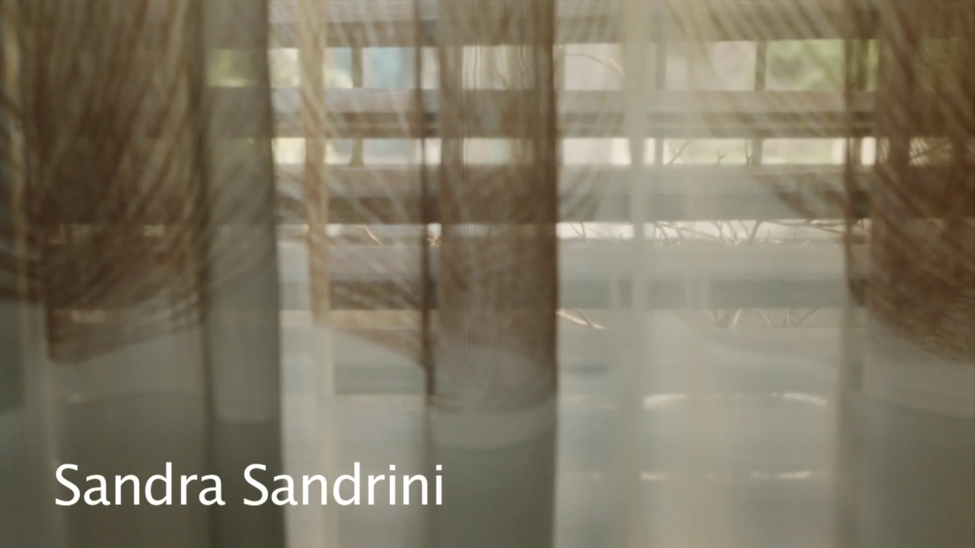 SANDRA SANDRINI on Vimeo
