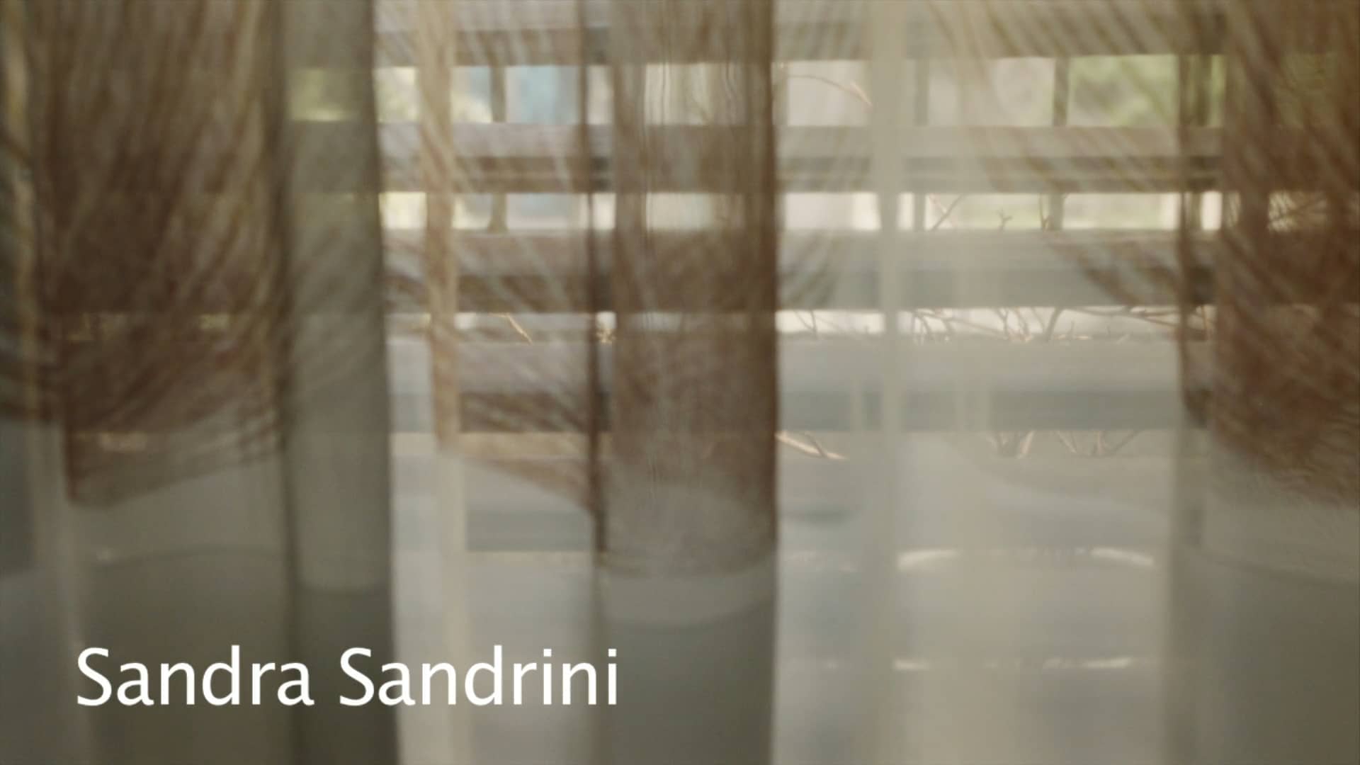 SANDRA SANDRINI on Vimeo