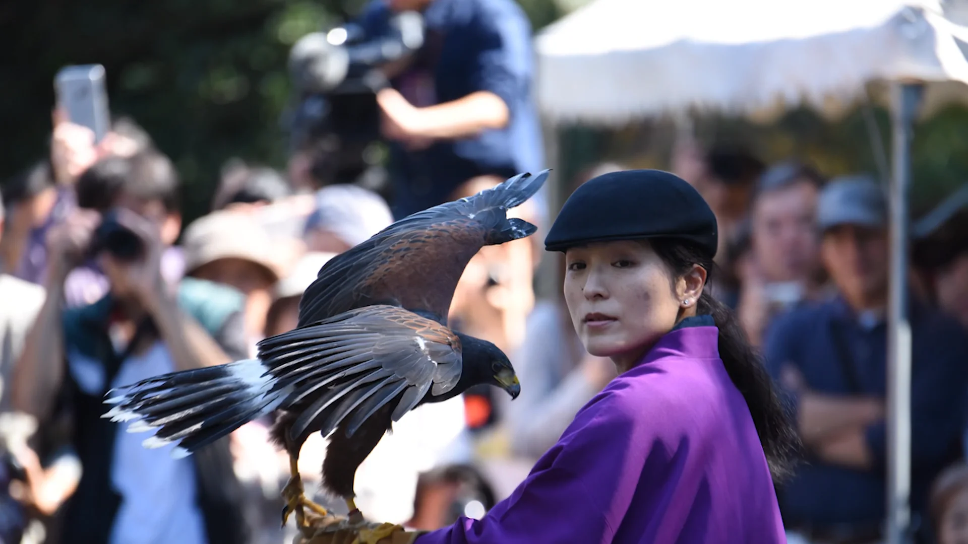 Rites of Flight: Falconry in Japan