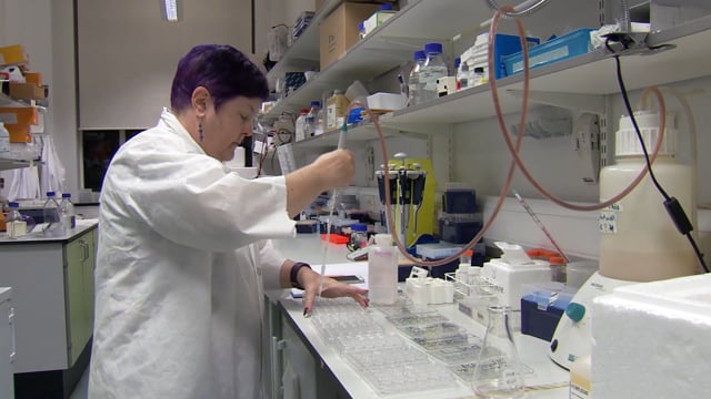 Supporting the 100,000 Genomes Project - Genomics Education Programme