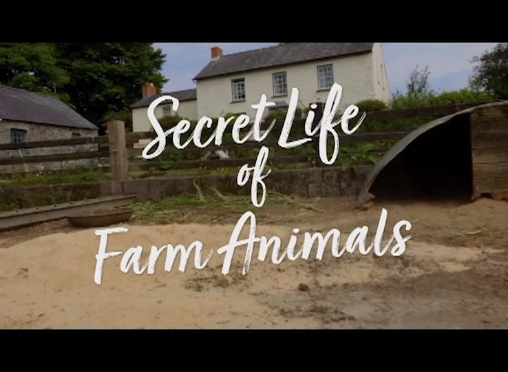 'Secret Life of Farm Animals' by Oxford Scientific Films