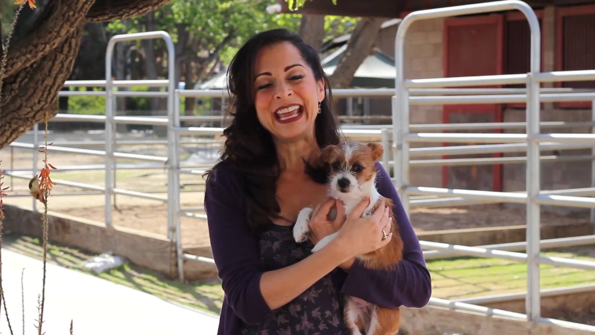 Helen Woodward Animal Center's Year in Review 2018 on Vimeo