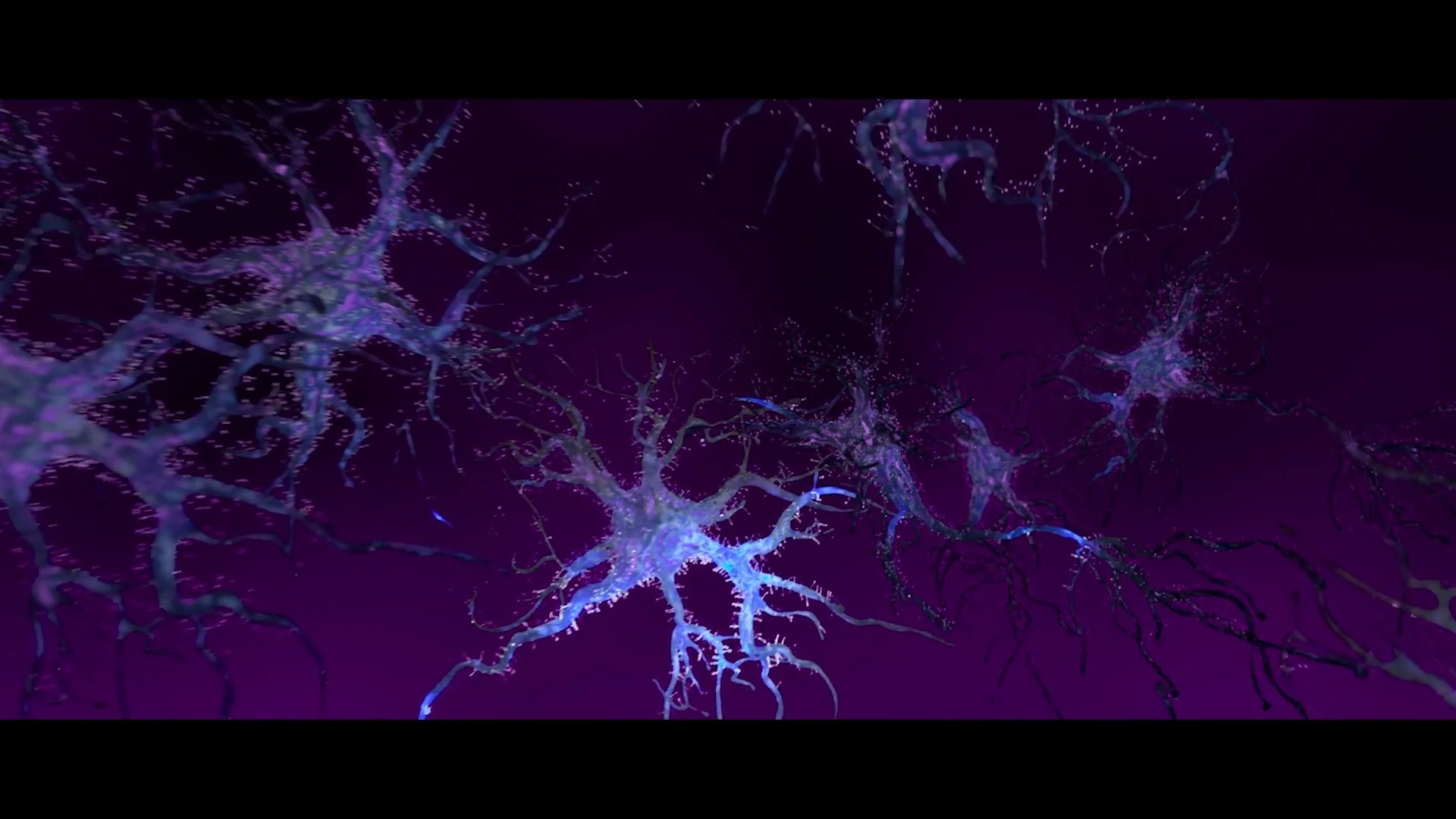 Senay Gurel Showreel 2018