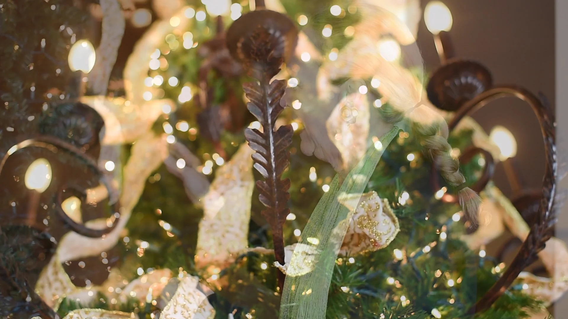 SOW Catherine Strange Holiday video - the tree on Vimeo