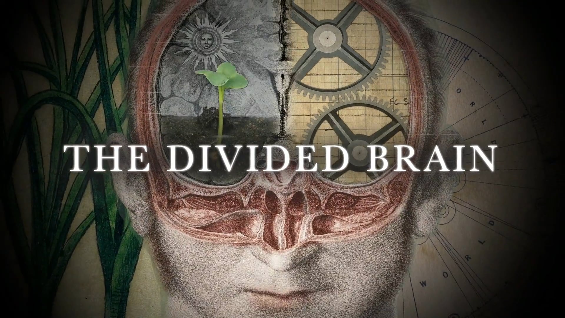 The Divided Brain - Official Trailer on Vimeo