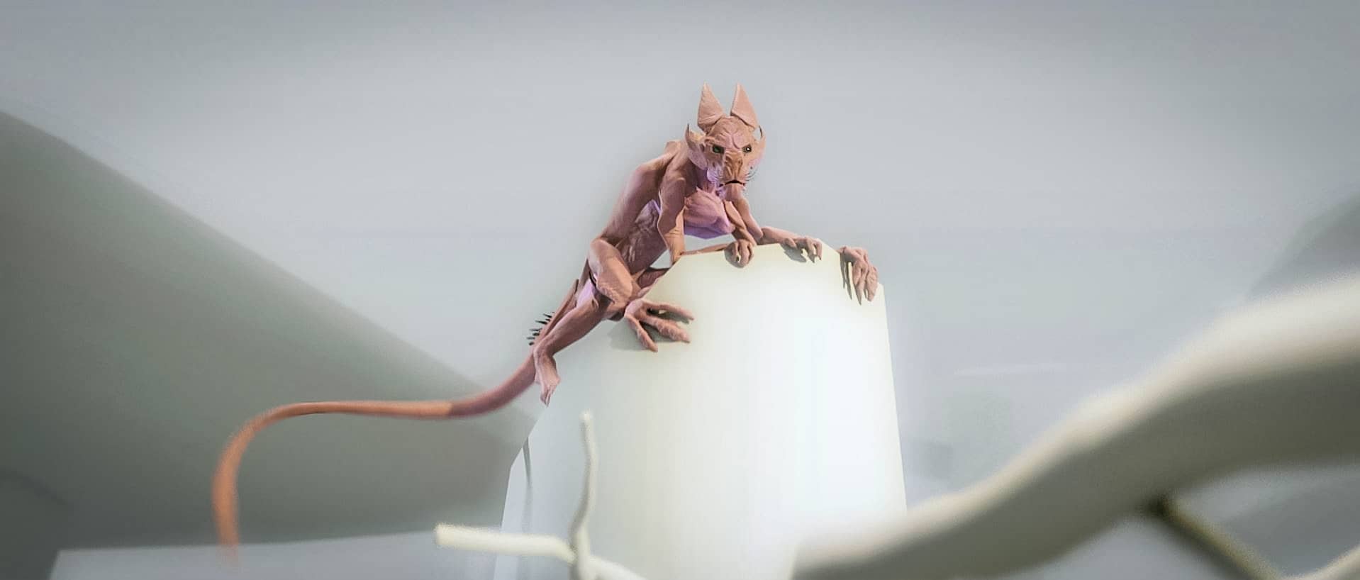 Six-legged creature study on Vimeo