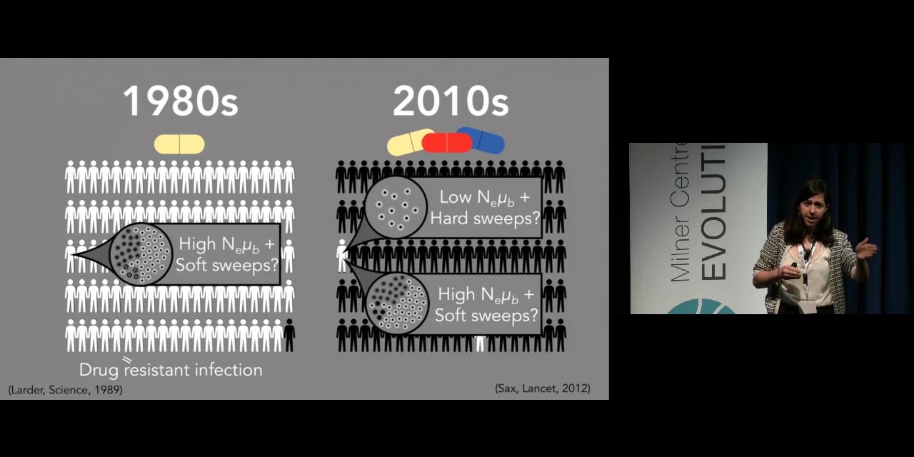 Alison Feder - Milner Prize Lecture sponsored by the Genetics Society ...