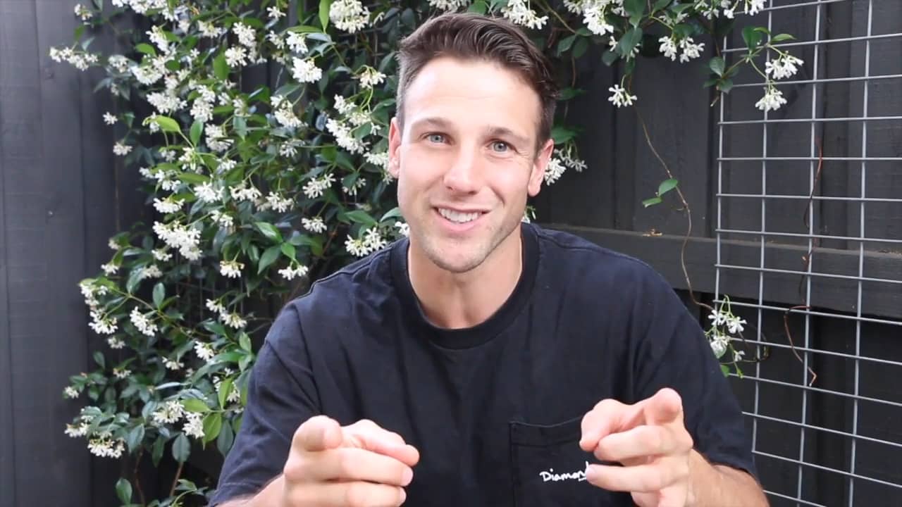 JEFF - Survivor tape 2 on Vimeo