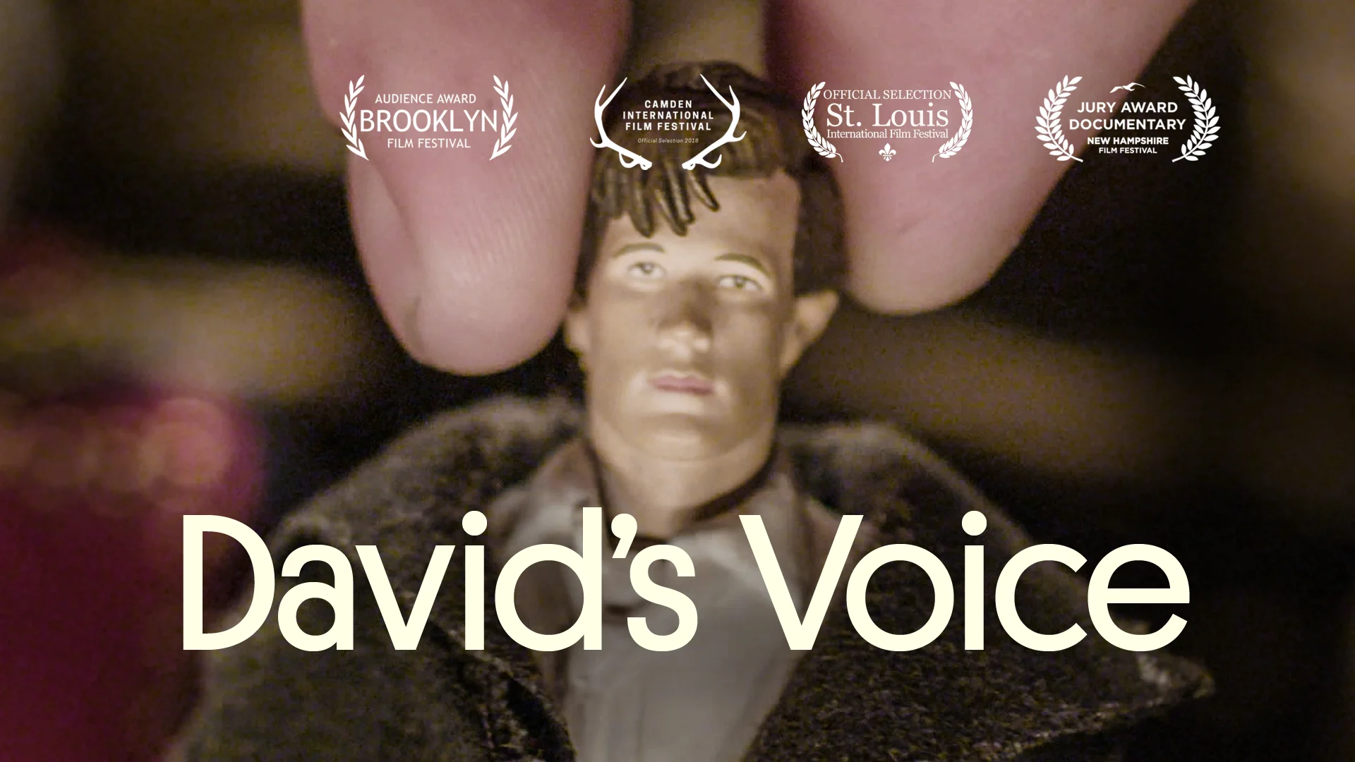 David's Voice