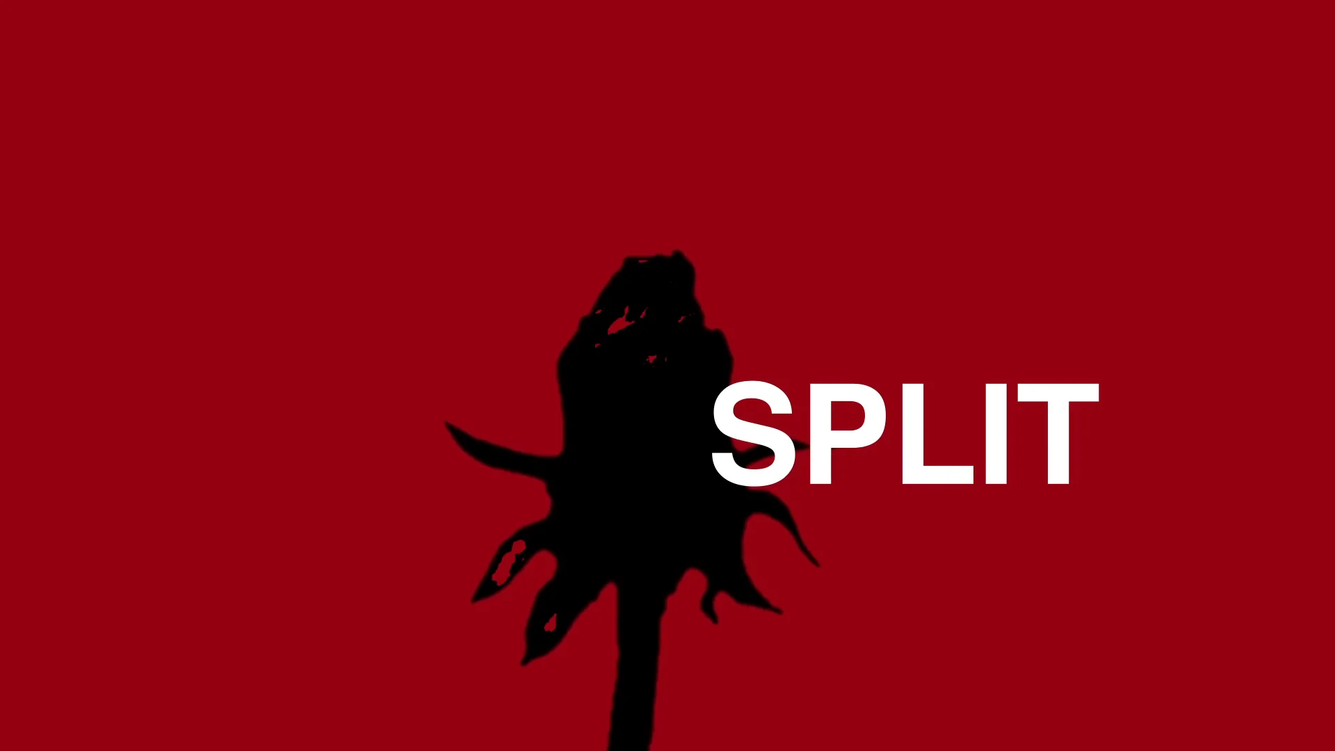 Split Opening Title Credit Sequence on Vimeo