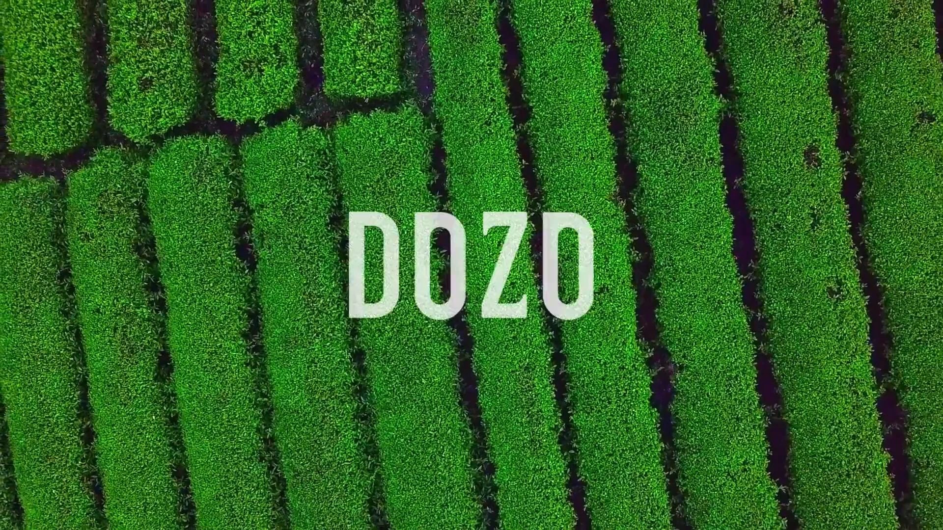 Dozo Tea Matcha on Vimeo