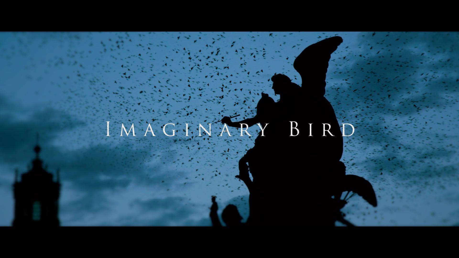 Imaginary Bird on Vimeo
