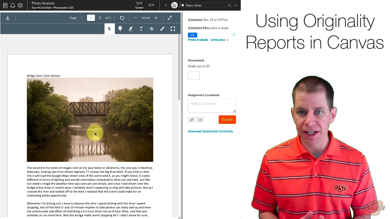 Canvas: Understanding the Turnitin Similarity Score