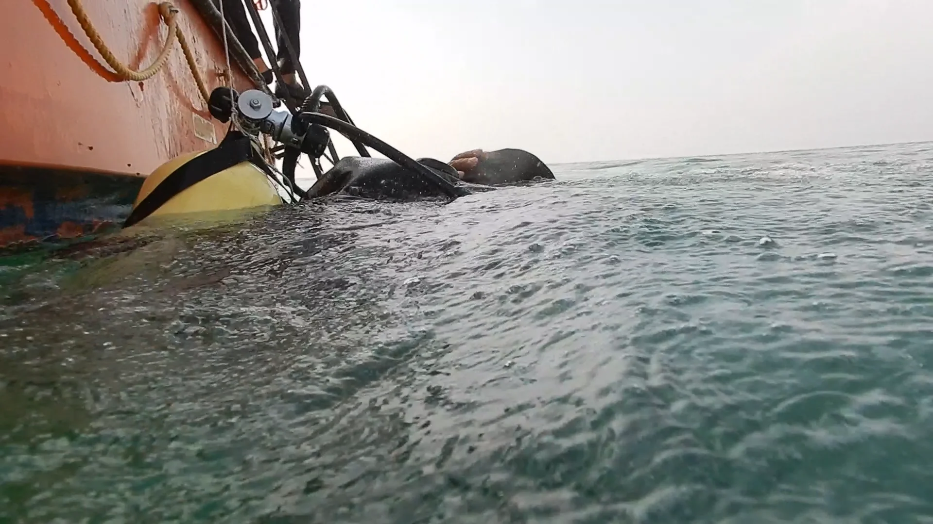 Scuba diving at Dwarkau on Vimeo