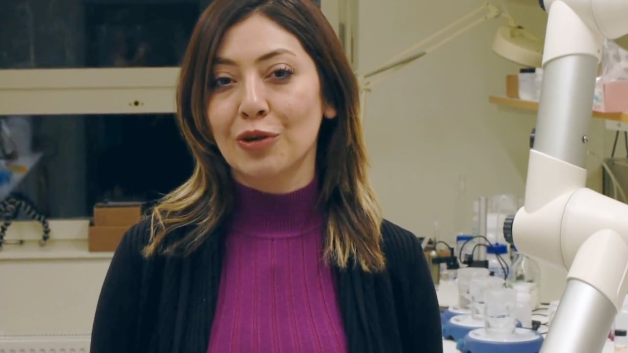 Defence of thesis: Selda Aminzadeh on Vimeo