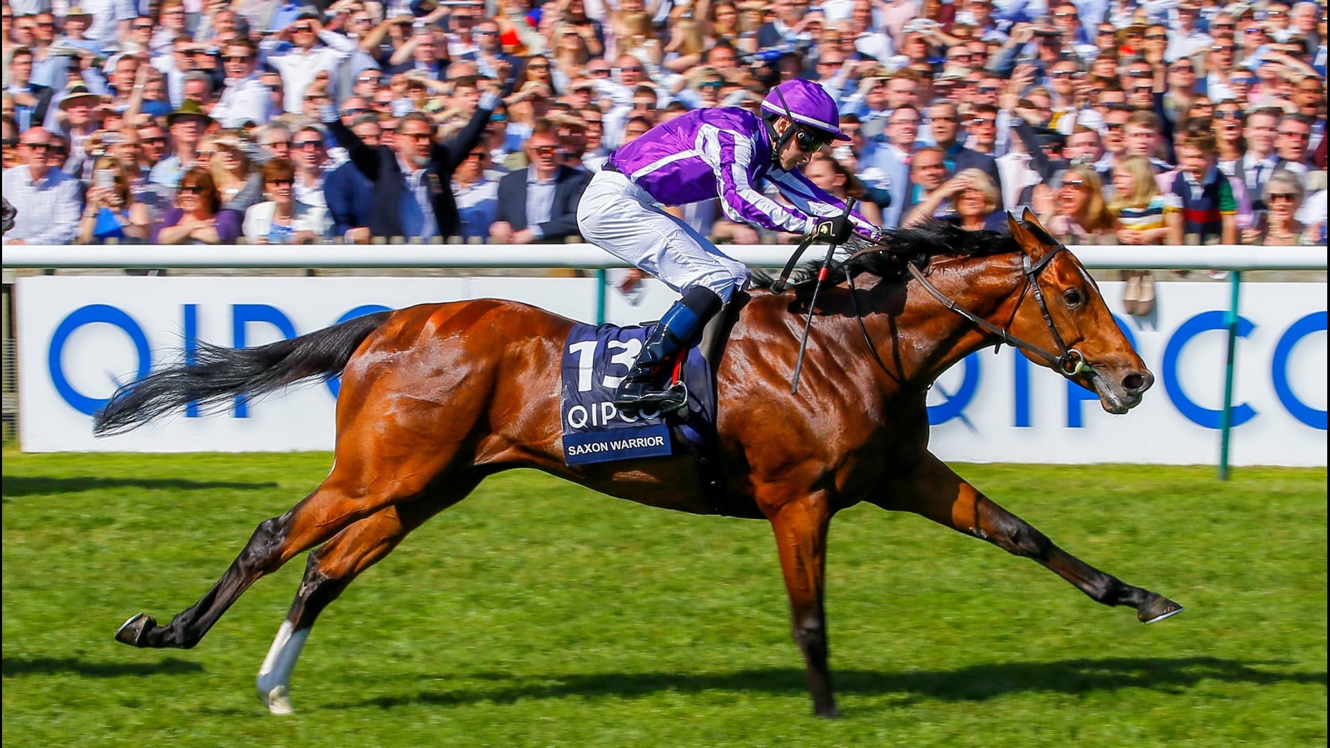 Saxon Warrior | Stallions - Coolmore