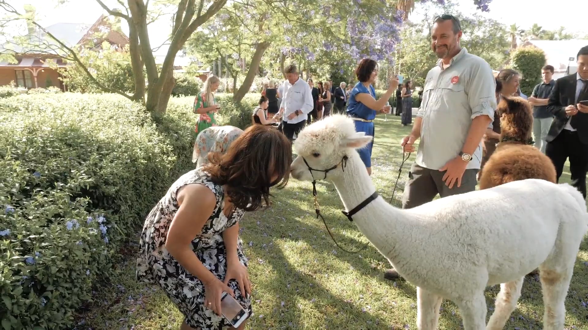 What it takes -Del Edwards Celebrant - Weddingdells on Vimeo