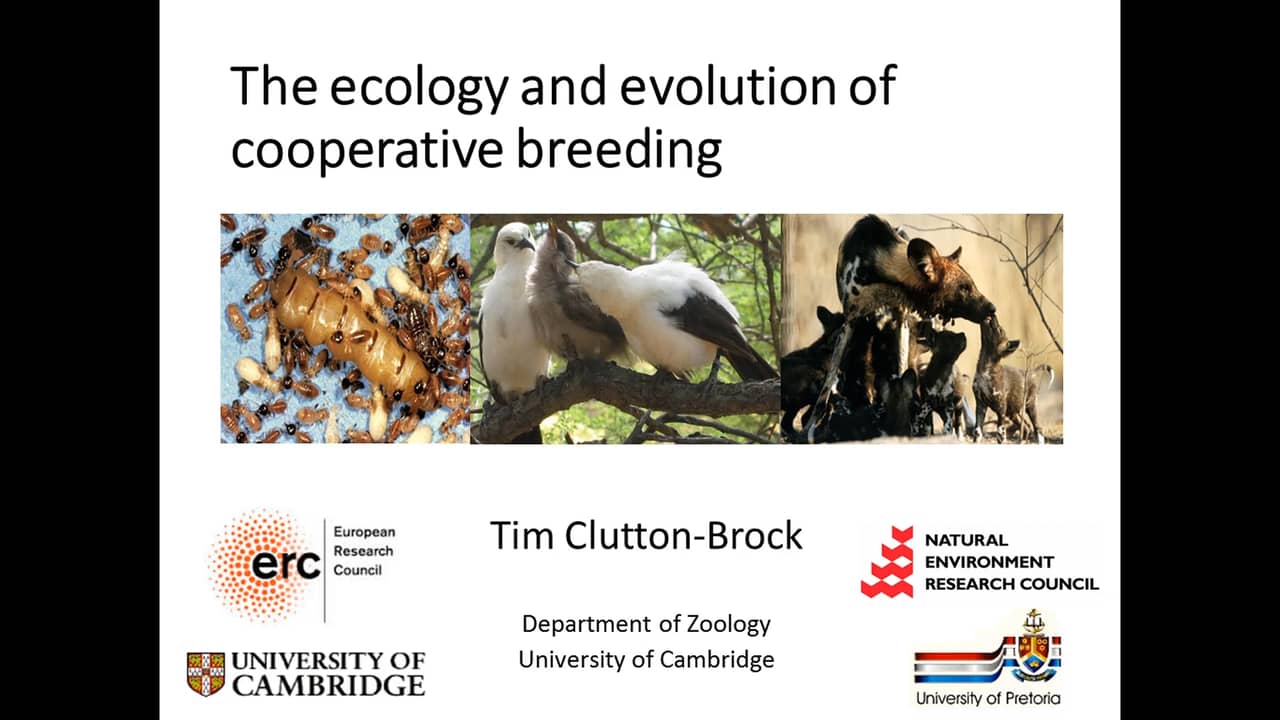Conference Heinz Hafner 2018 : The ecology and evolution of cooperative ...