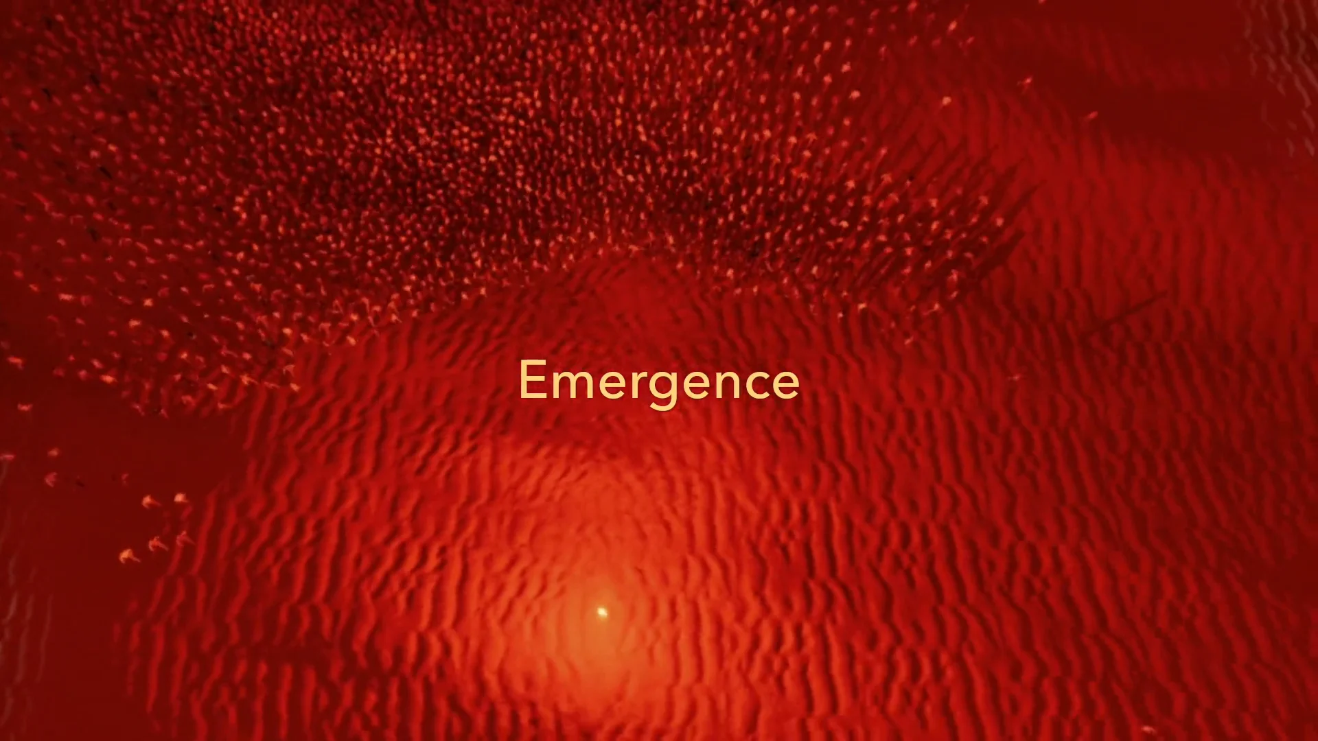 Emergence VR - Sundance trailer on Vimeo