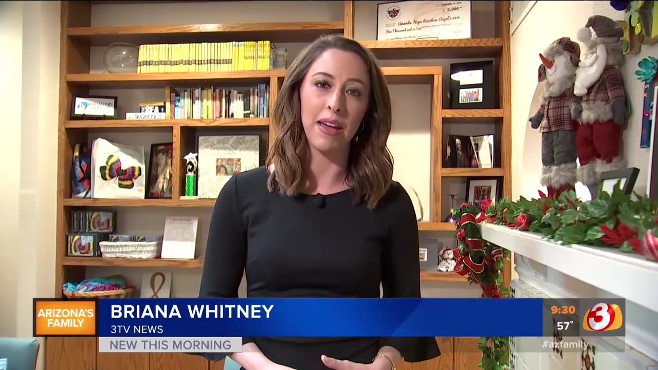 Amanda's Influence on the Port Stabilizer on Channel 3's Arizona's ...