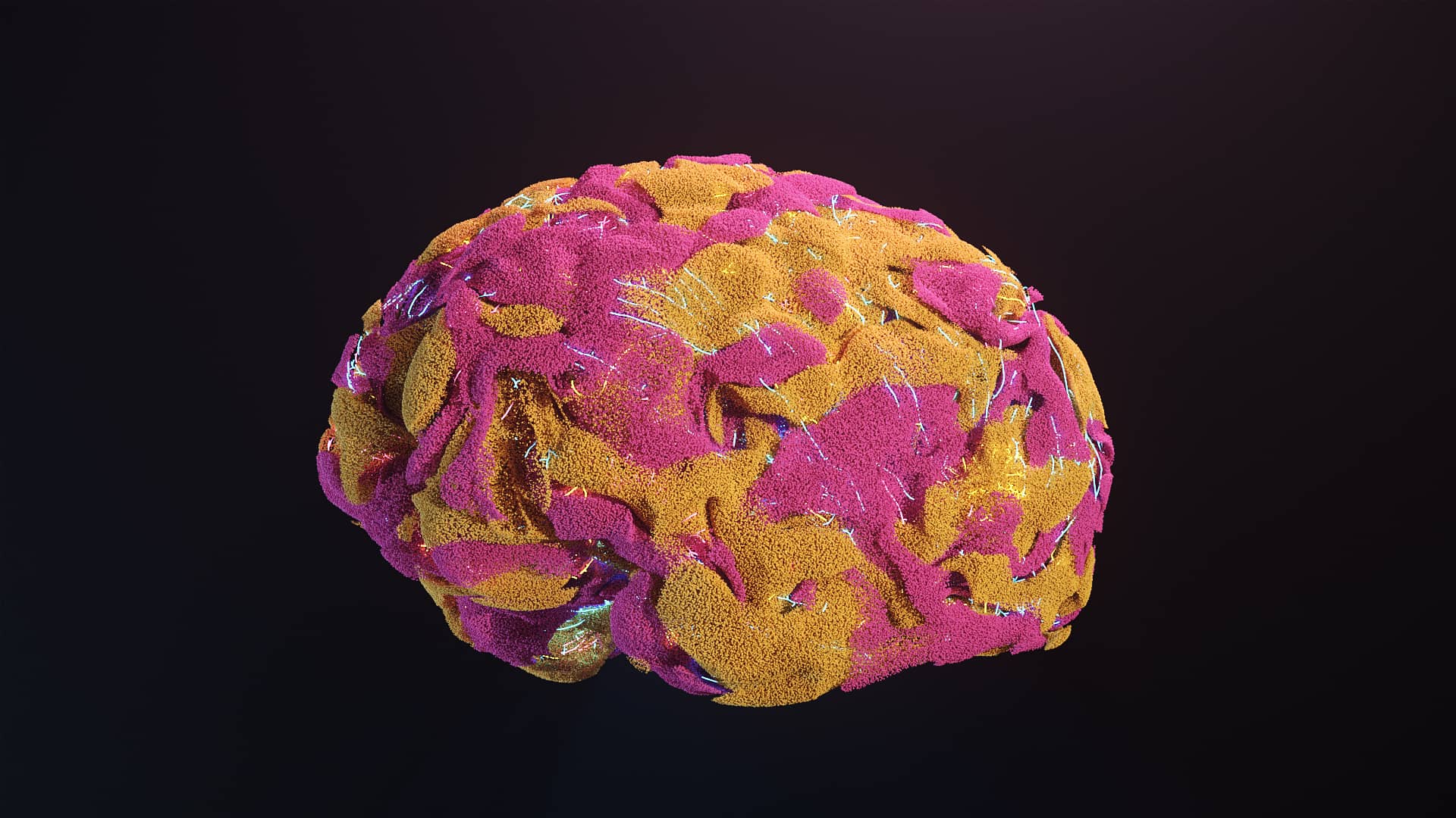 Brain Particles Experiments on Vimeo