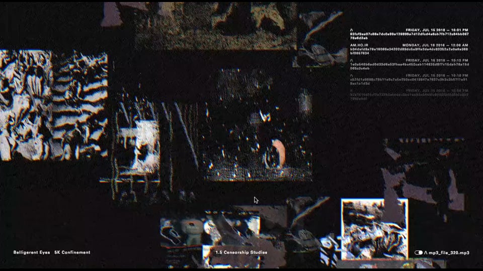 Belligerent Eyes | HOVERSTAT.ES