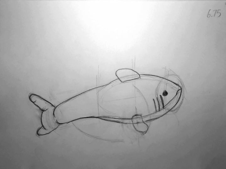 Shark morph and rotation (traditional animation) on Vimeo