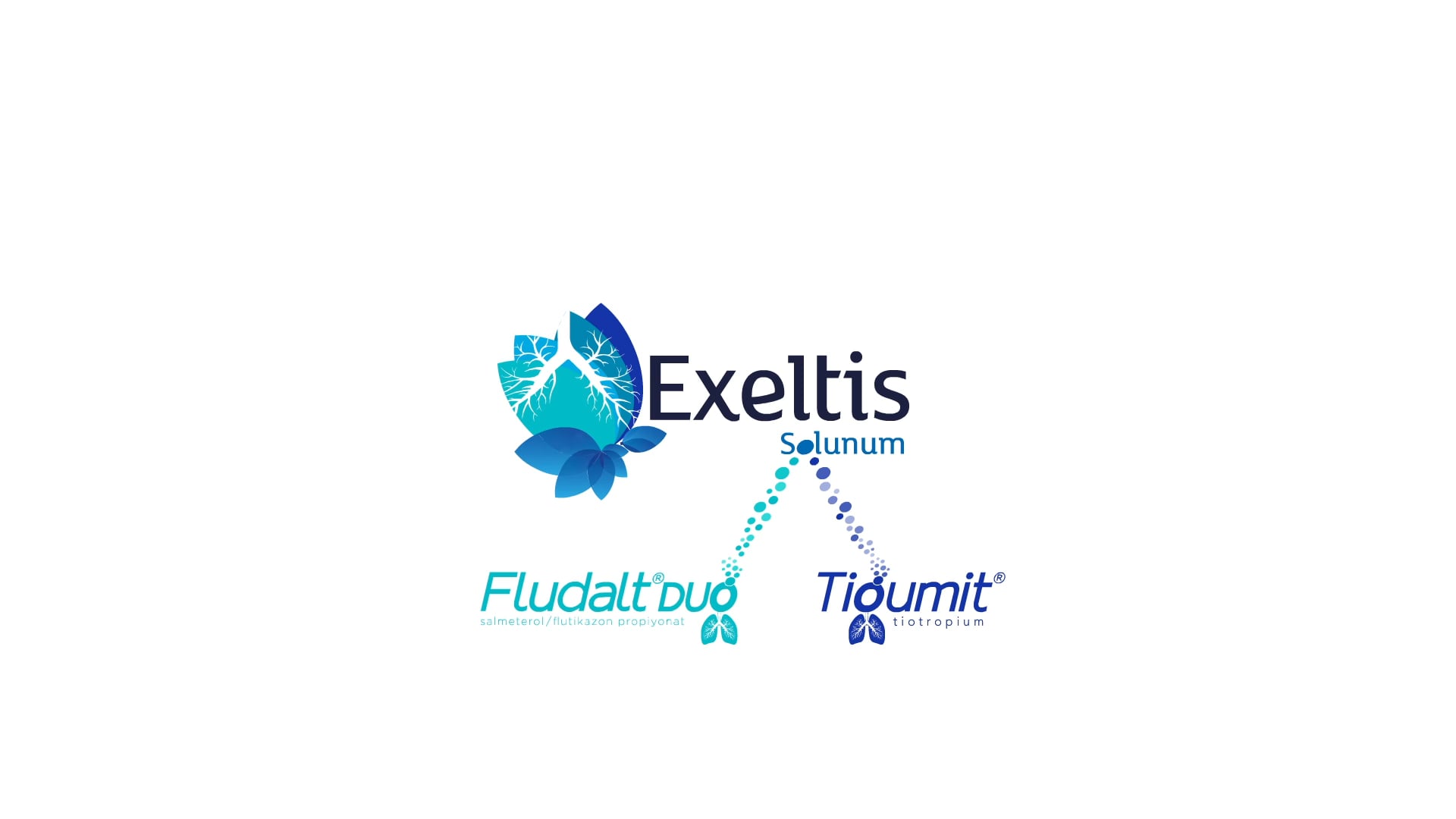 Exeltis Logo Loop on Vimeo
