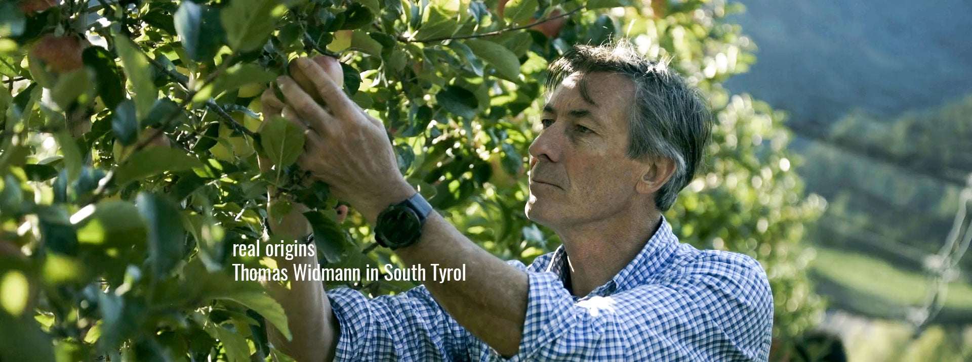 Documercial - real origins - Thomas Widmann in South Tyrol on Vimeo