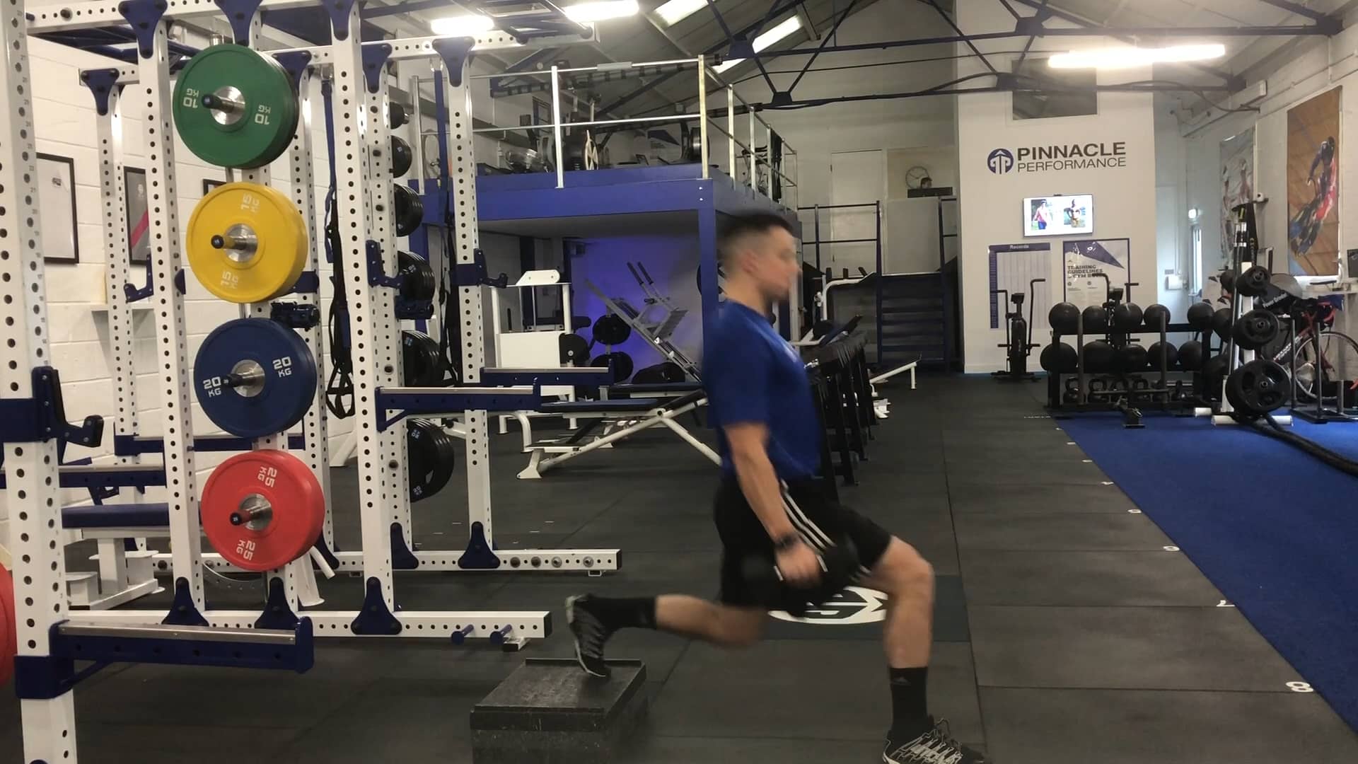 LAC-20 Dumbbell Deficit Lunge (15 cm, Forwards, Single-Leg, Long Stride ...