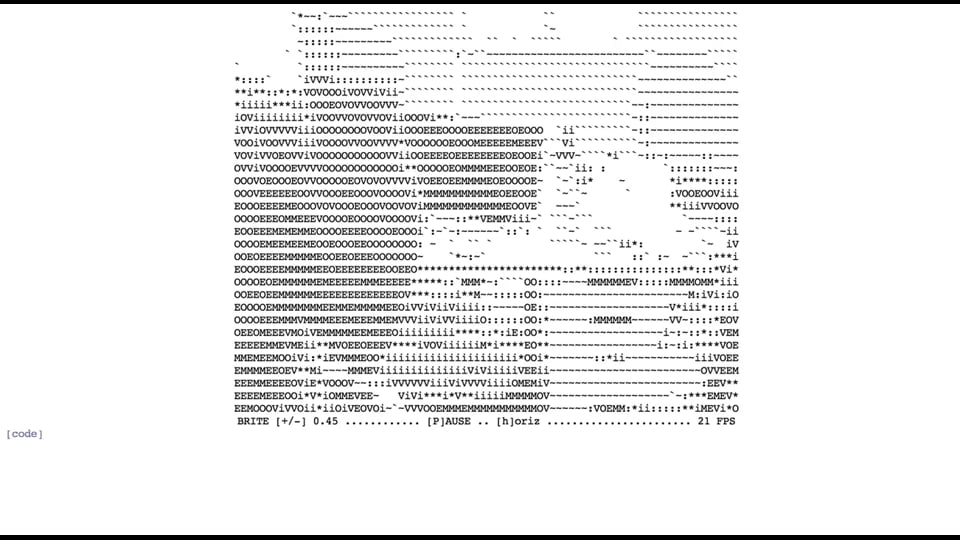 ASCIIcam | HOVERSTAT.ES