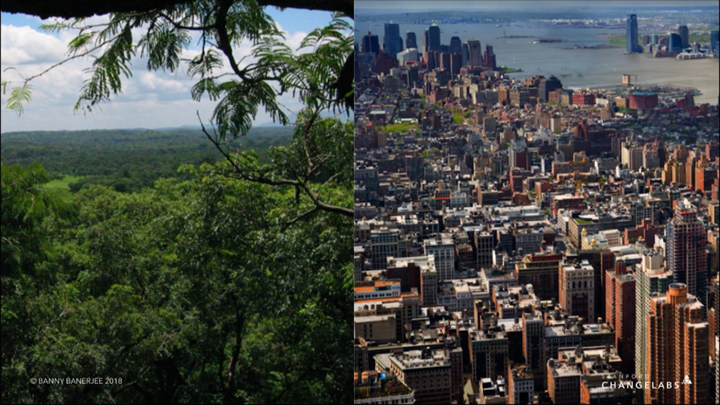 System Acupuncture: Tackling Scaled and Complex Challenges - Banny ...