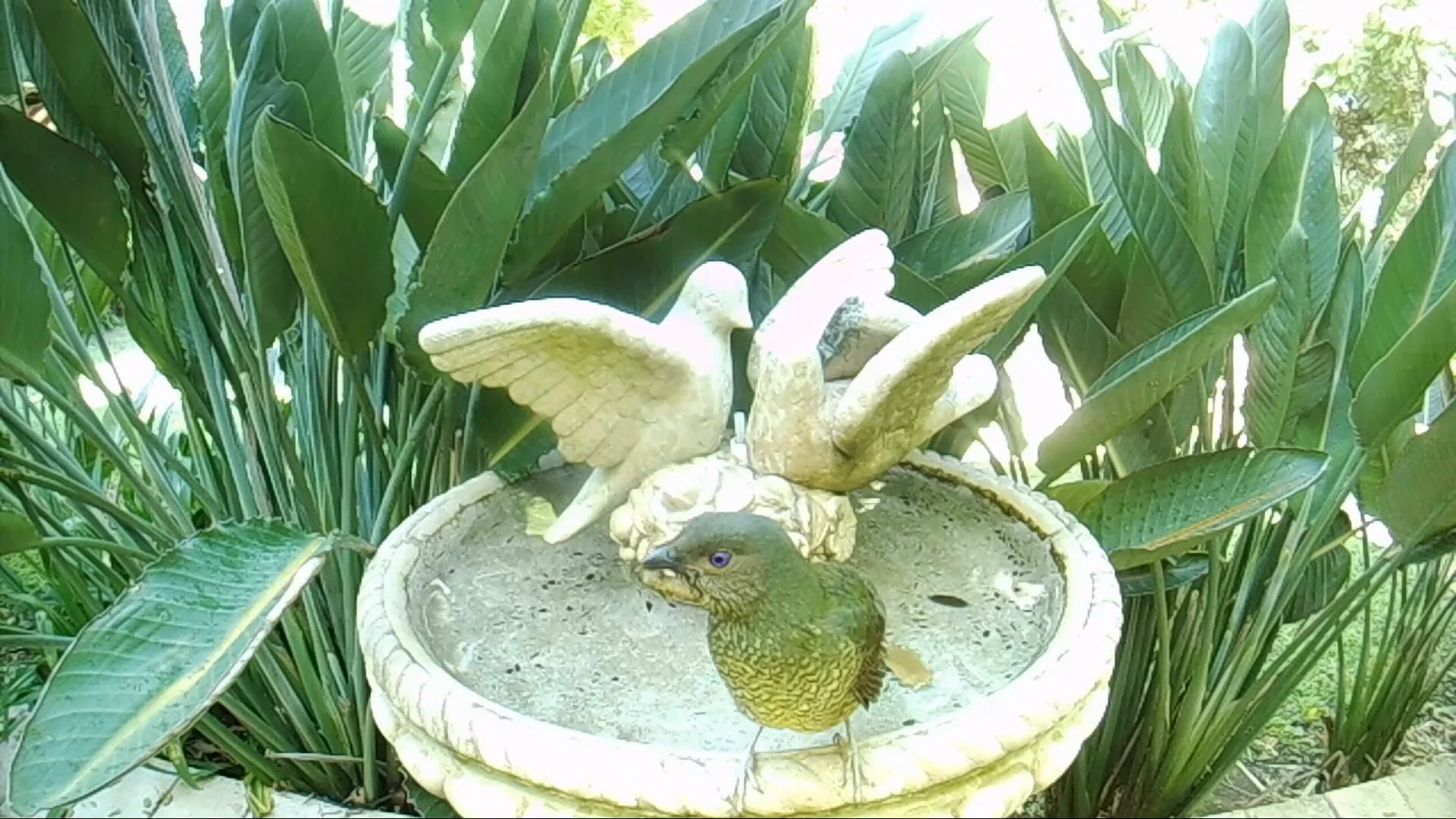 Bath Time. on Vimeo
