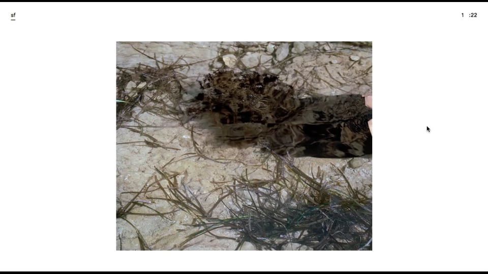 severafrahm | HOVERSTAT.ES