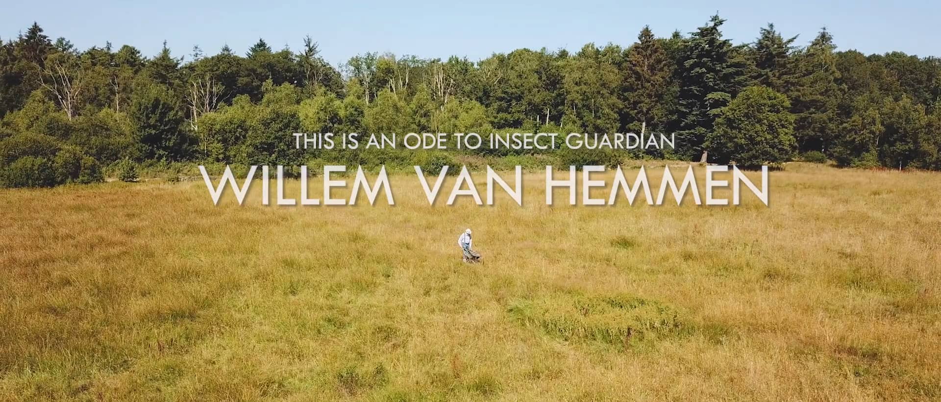 Insect Guardian - Butterfly paradise on Vimeo