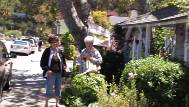 Gene Shepherd's Internet Rug Camp on Vimeo