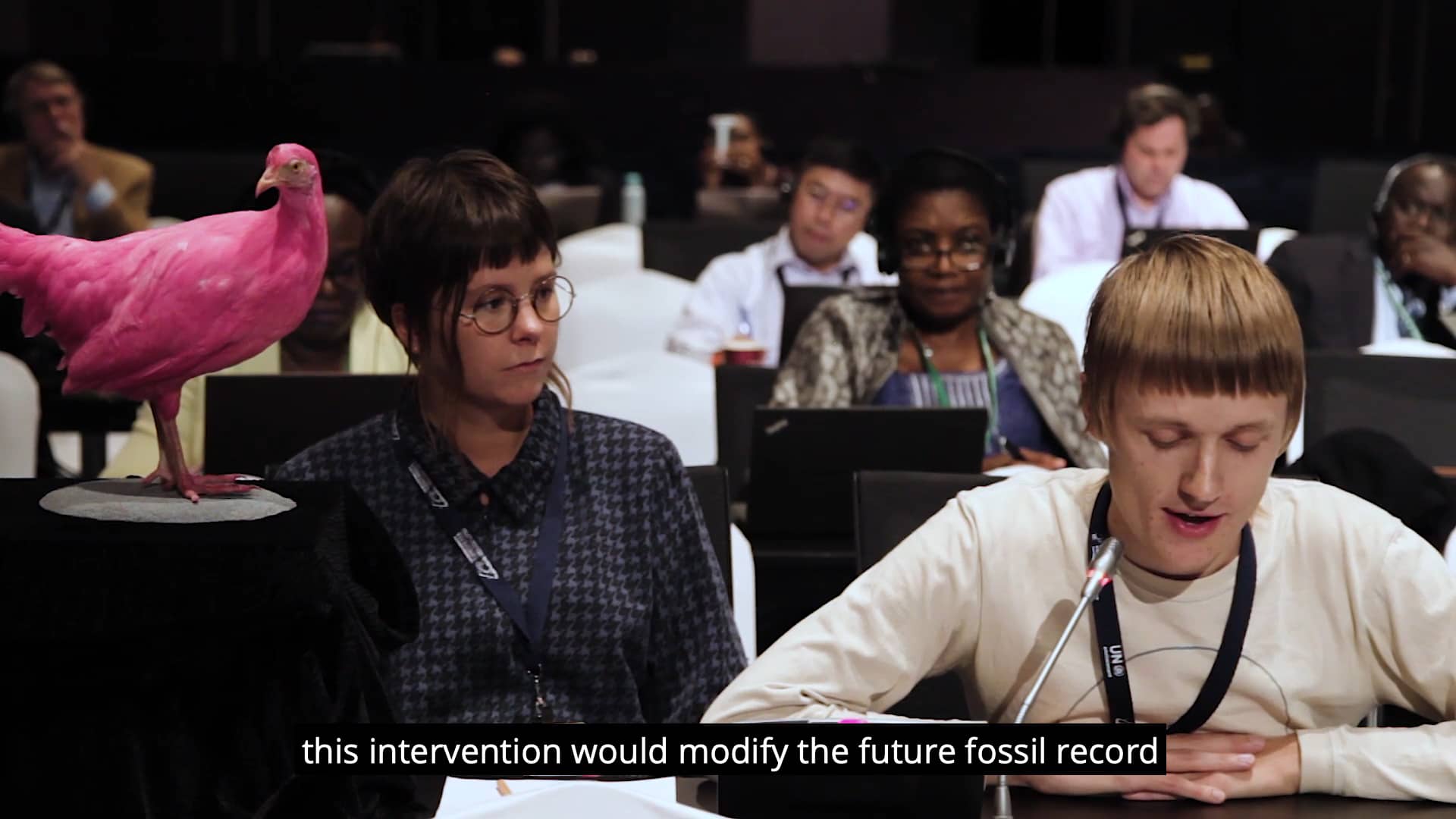 Pink Chicken Project, UN Statement, COP-14 on Vimeo