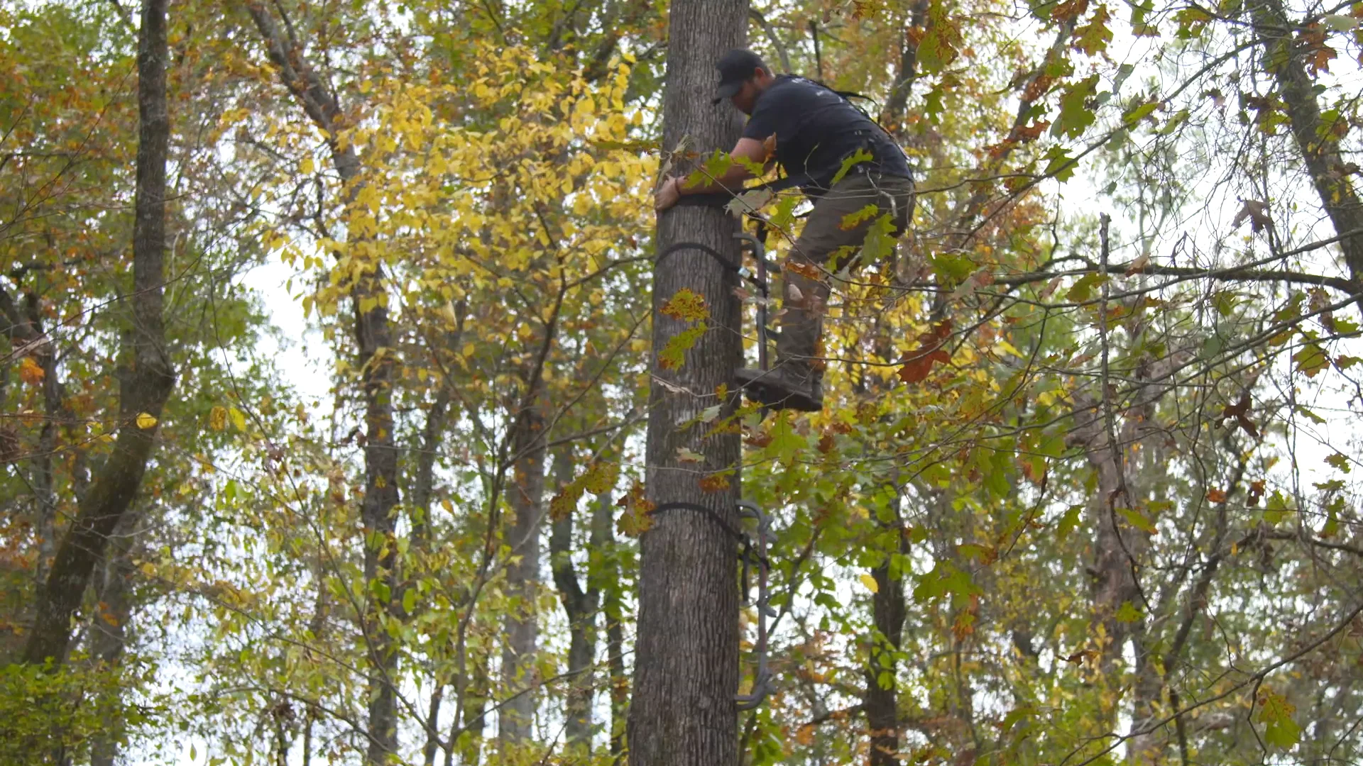 Copeland.OK.November2018 on Vimeo