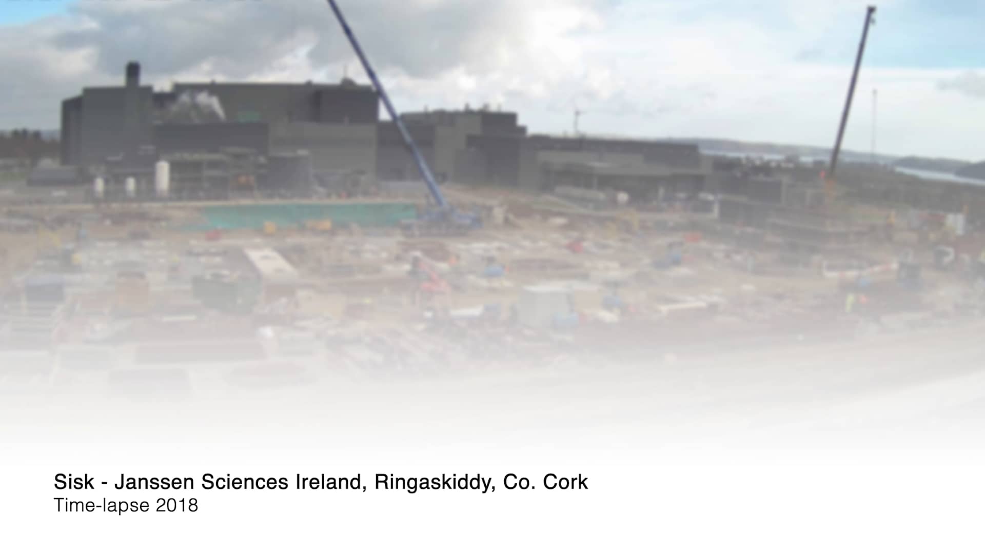 Sisk - Janssen Sciences Ireland, Ringaskiddy, Co. Cork on Vimeo