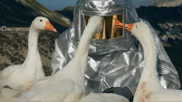 THE MOON GOOSE ANALOGUE - documentation on Vimeo