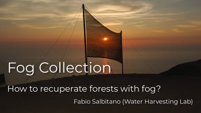 Reforestation through Fog Collection - TheWaterChannel