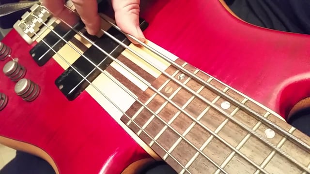 Low Instrument Music - Free video on Pixabay