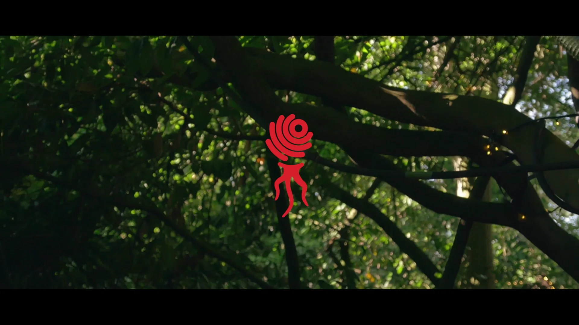 Cosmic Roots Festival 2018 on Vimeo