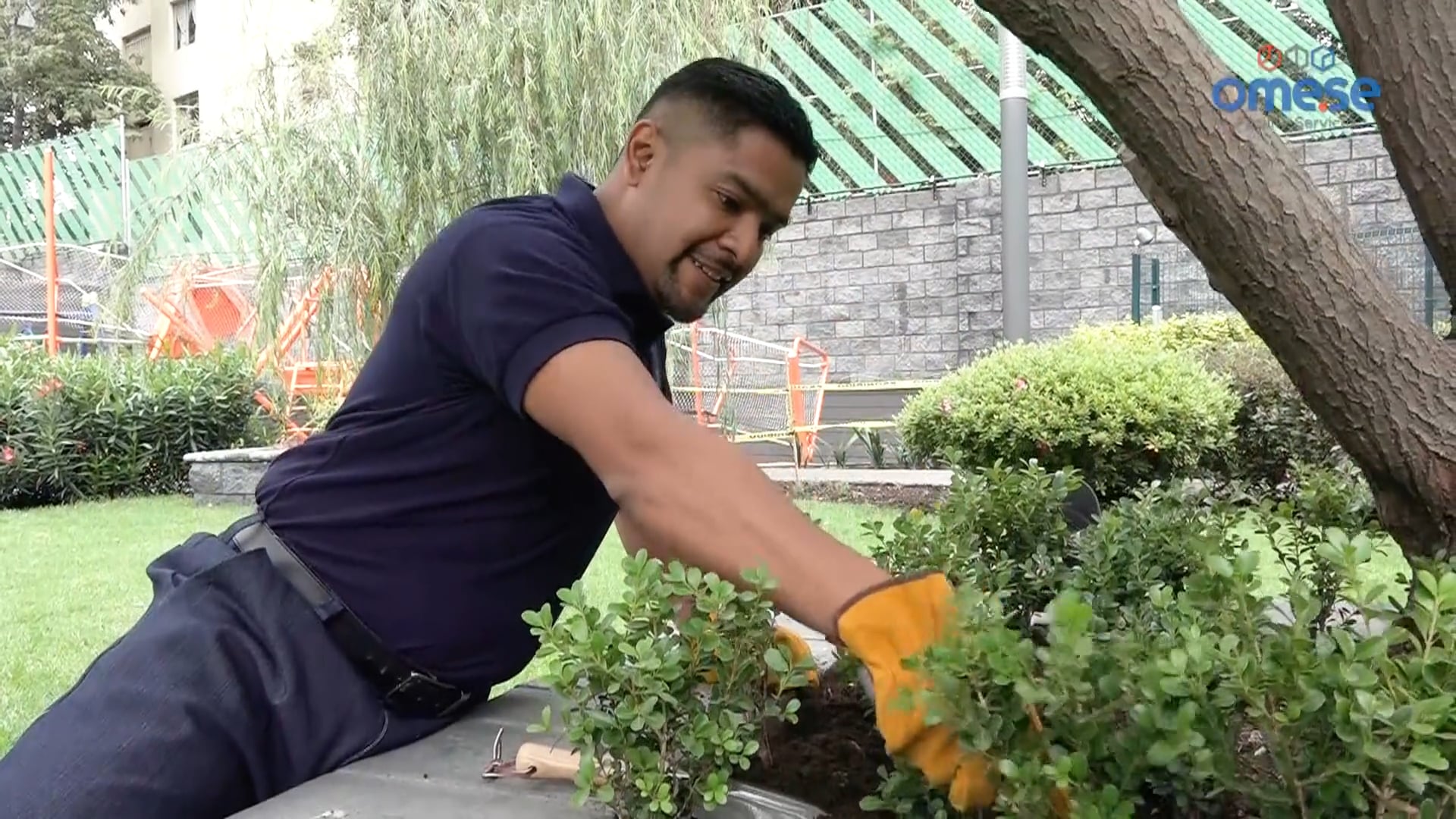 Grupo OMESE. Conoce nuestros servicios on Vimeo