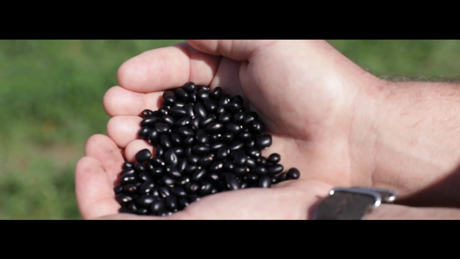 Señor Frijoles Promotional Video (2018) on Vimeo